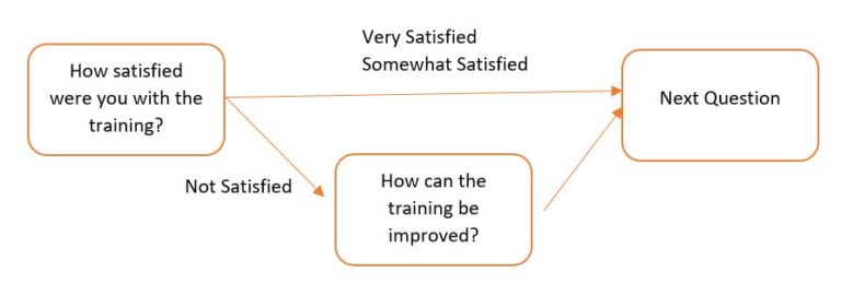 Surveys and Skip Logic - Kinaki