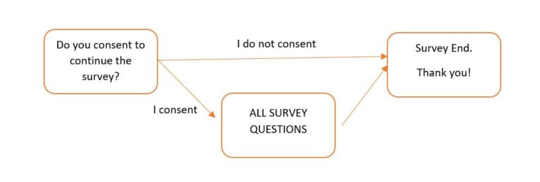 Surveys and Skip Logic - Kinaki